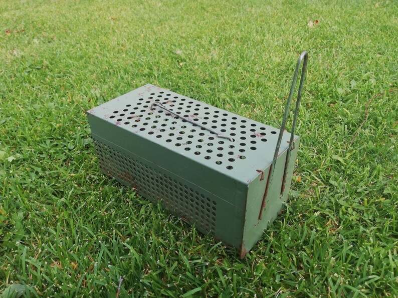 Vintage Mouse Trap 1960's Primitive Tool Catch a Mouse Metal Rusty Trap ...