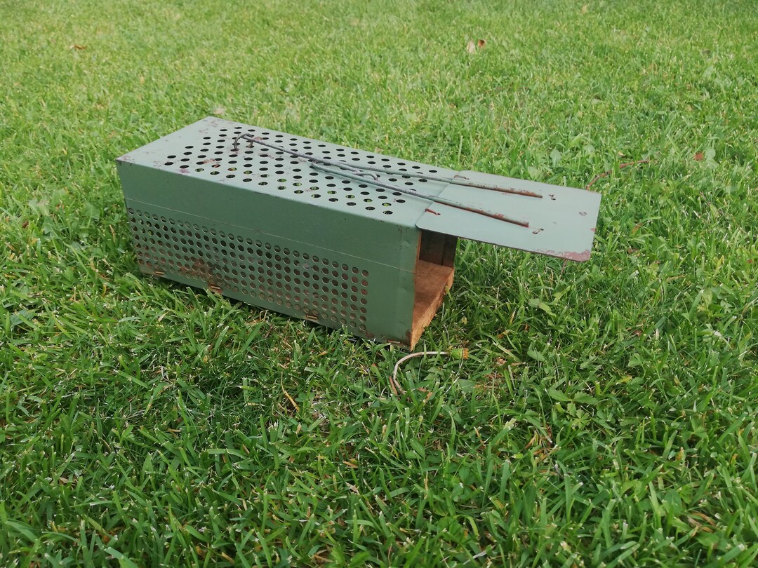 Vintage Mouse Trap 1960's - Primitive Tool Catch a Mouse - Metal Rusty ...