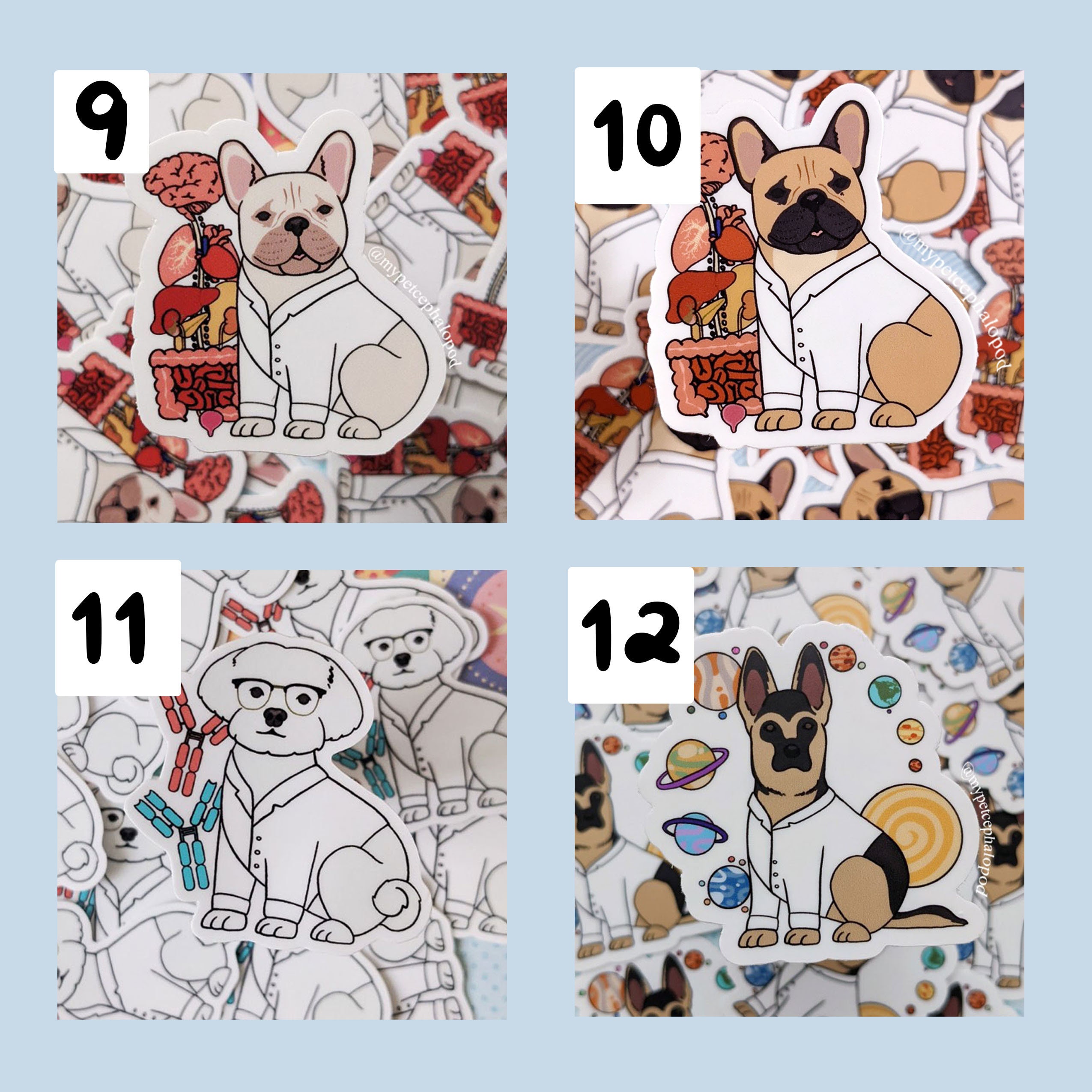 DOGTOR Vinyl Sticker Science Stem Biology Chemistry - Etsy