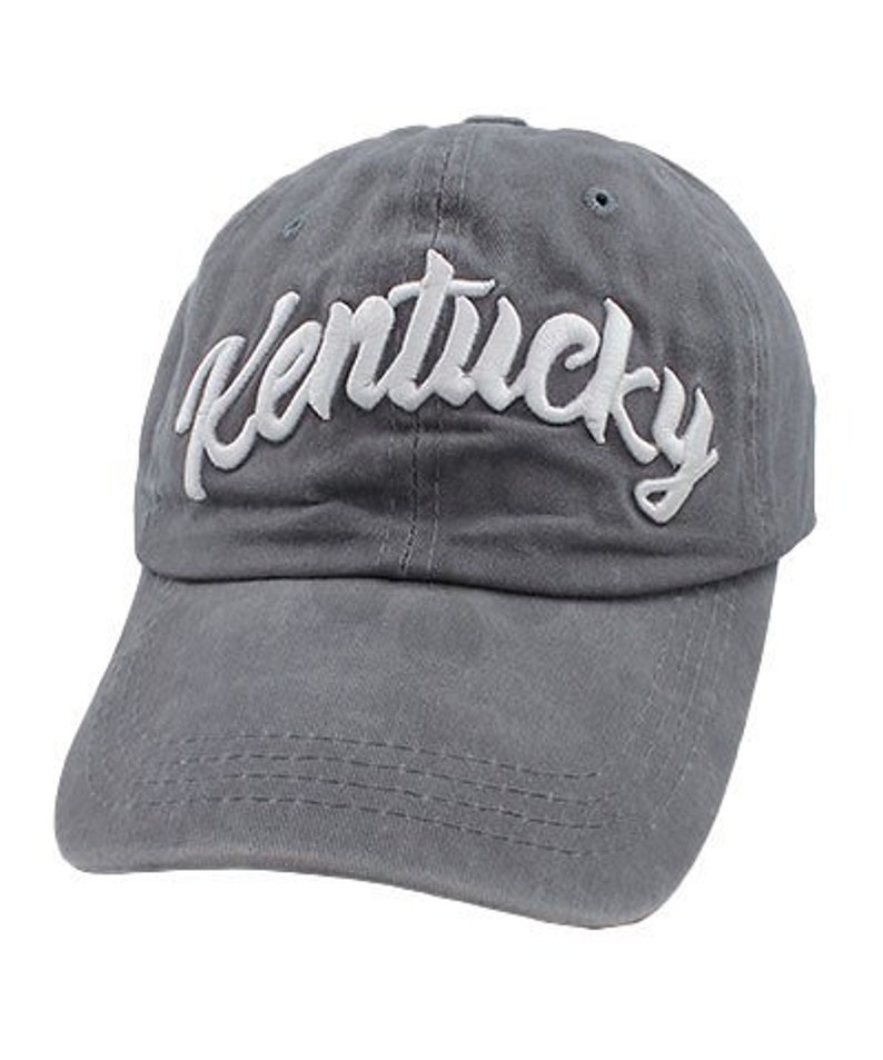 Home State Embroiderd Hat / Baseball Cap / Choose Your Color / Georgia ...