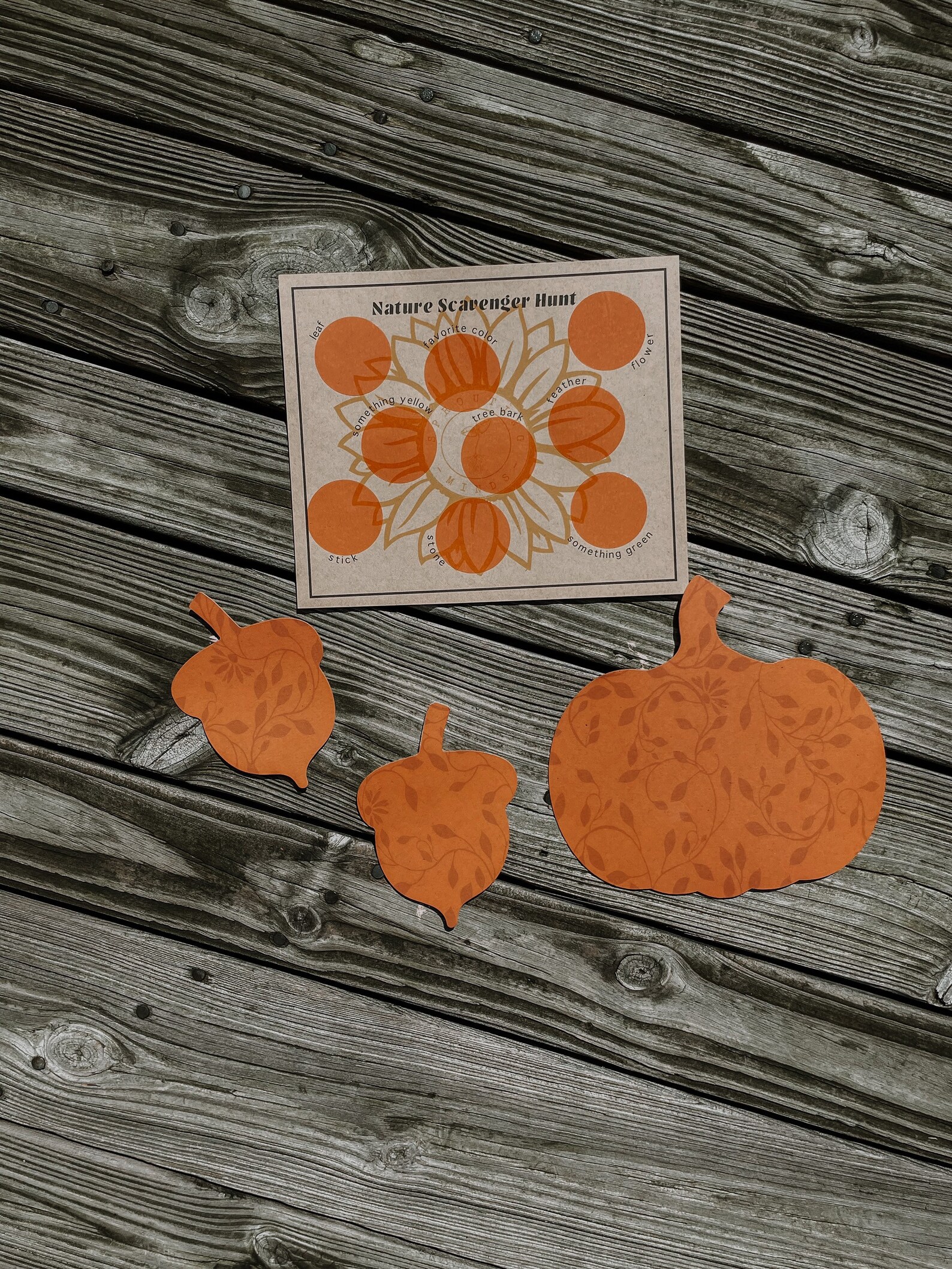 Craft Kit for Kids Fall Craft Nature Craft Kit Outdoor - Etsy