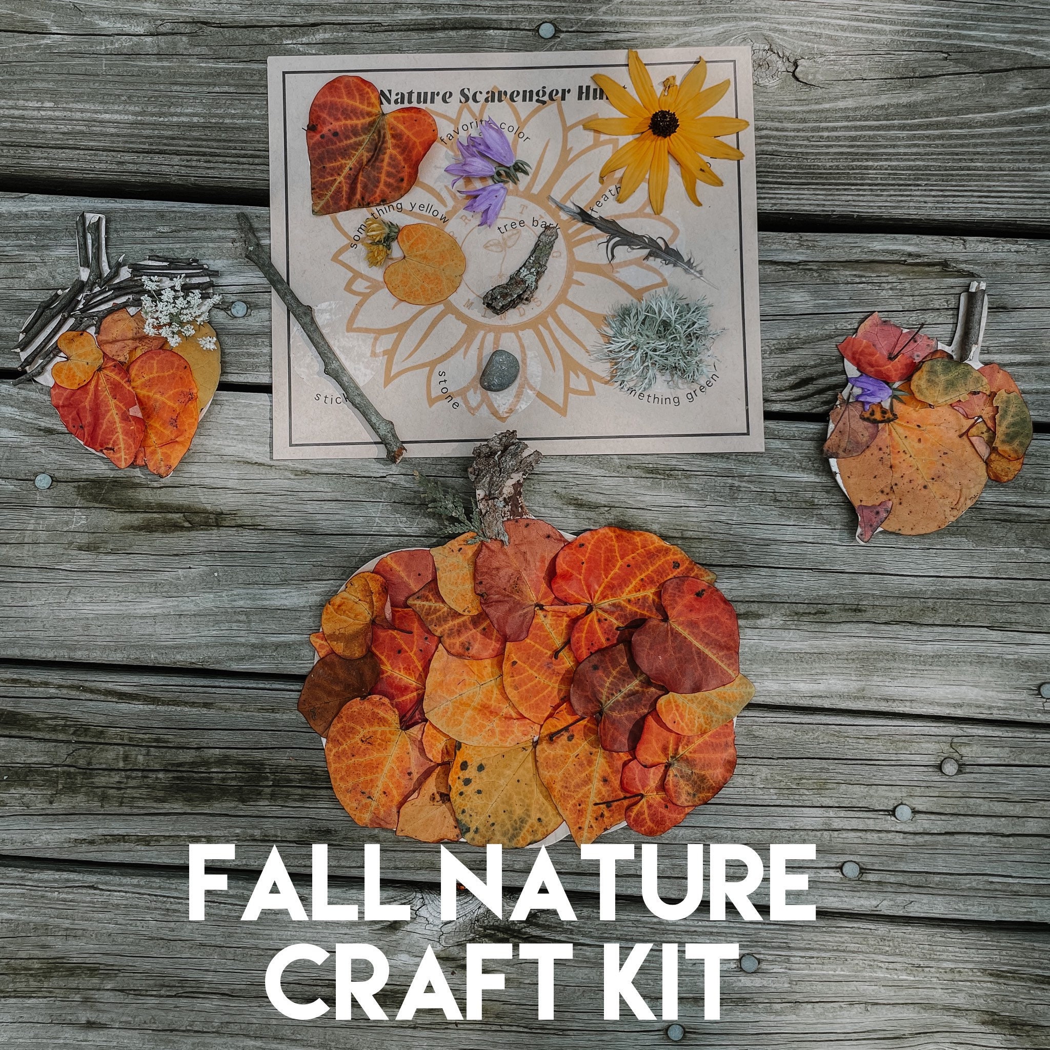 Craft Kit for Kids Fall Craft Nature Craft Kit Outdoor - Etsy