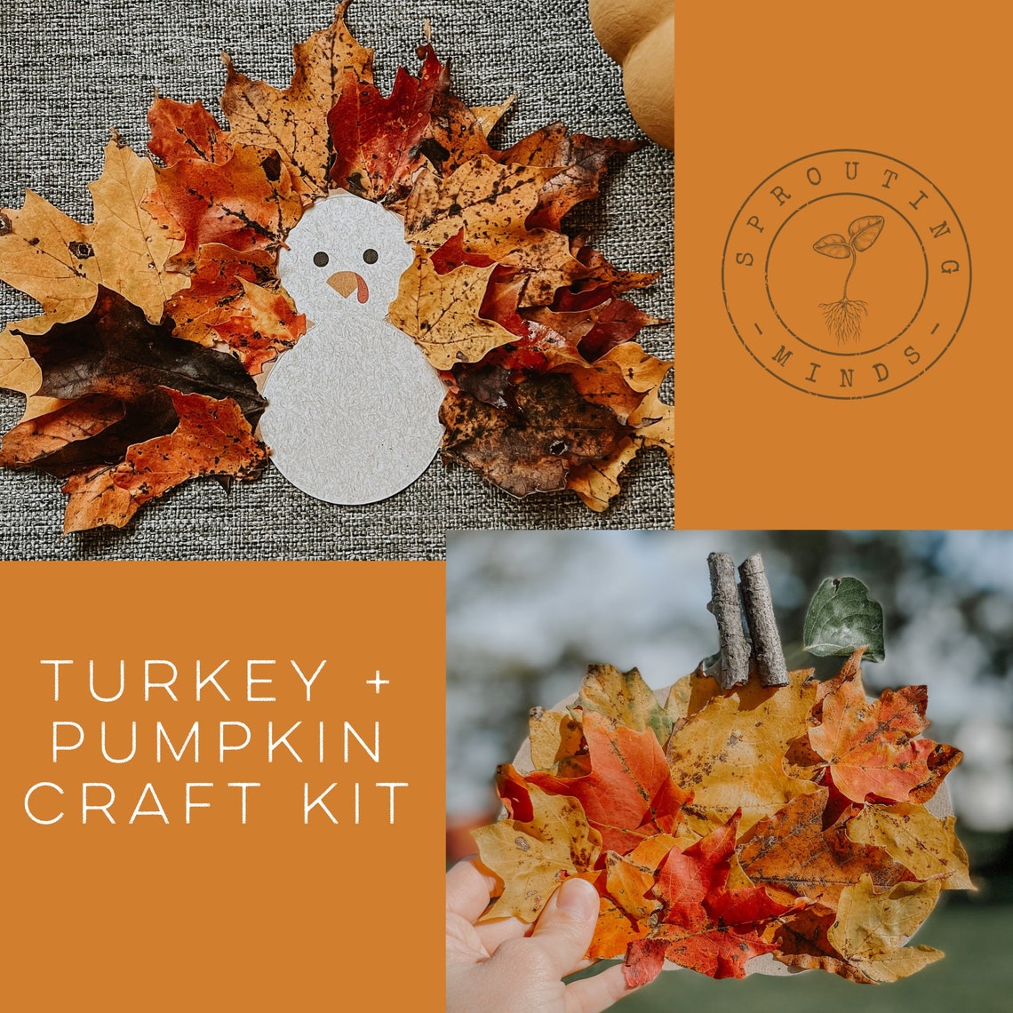 Turkey Pumpkin Craft Kit Thanskgiving Craft Nature Craft - Etsy