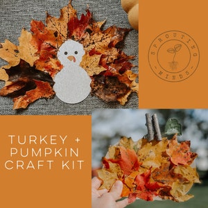 Turkey + Pumpkin Craft Kit! Thanskgiving Craft, Nature Craft Kit - Etsy