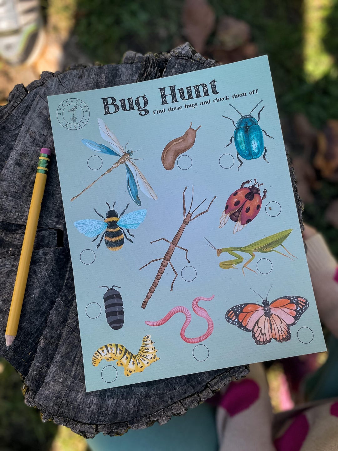 Bug Scavenger Hunt - Digital File - Etsy