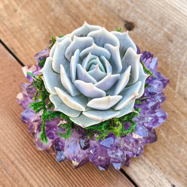 Crystal Planter - Etsy