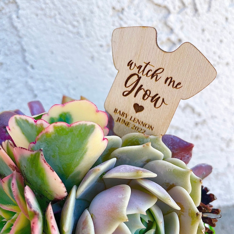 Baby Shower Succulent Tag - Etsy