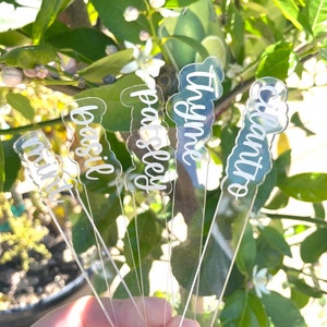 Custom Engraved Acrylic Plant Markers - Modern Herb Markers - Etsy