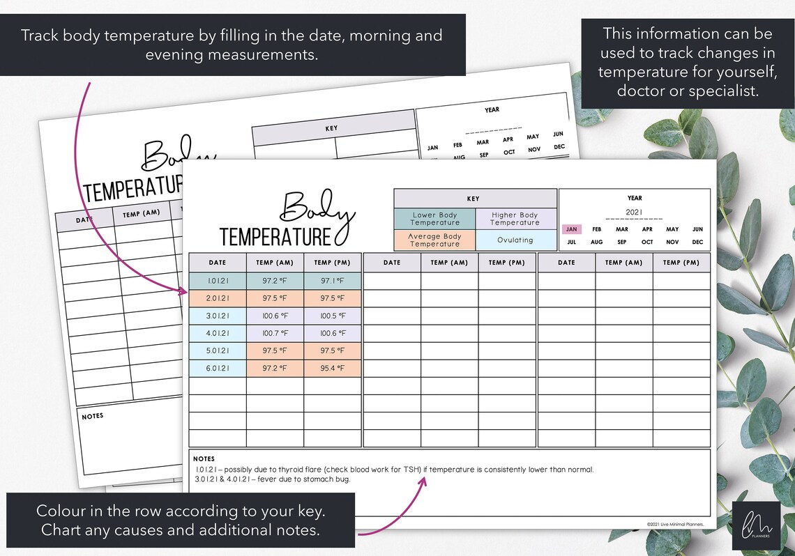 Monthly Body Temperature Tracker Printable Basal Body | Etsy