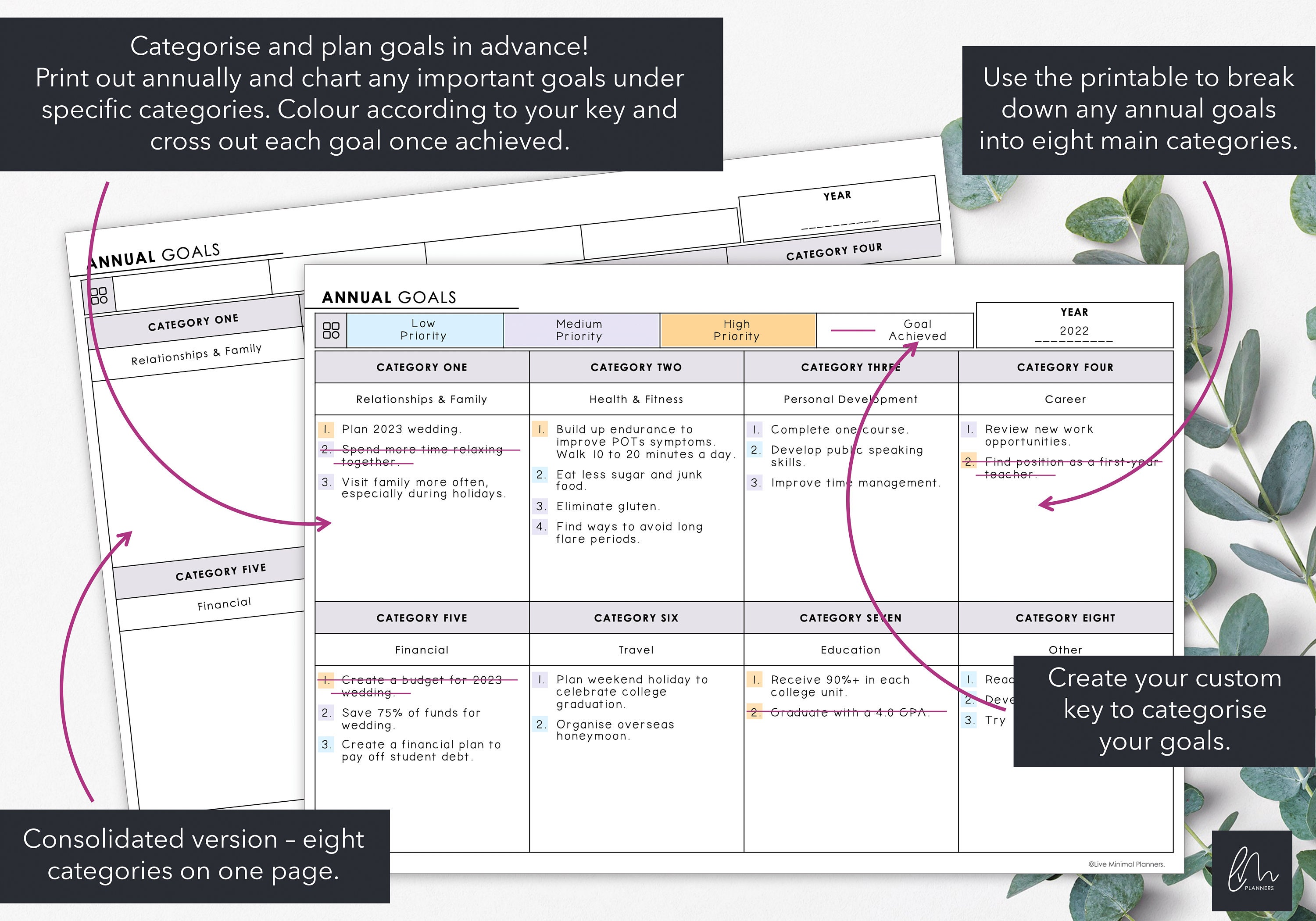 Printable Annual Goal Charts | Manage Health Career Education ...