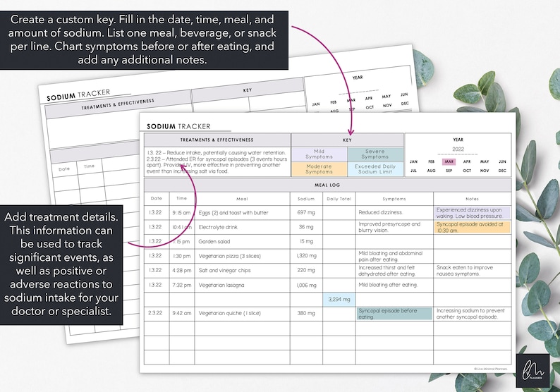 Sodium Intake Tracker | Chart Daily Meals Amount of Sodium Symptoms ...