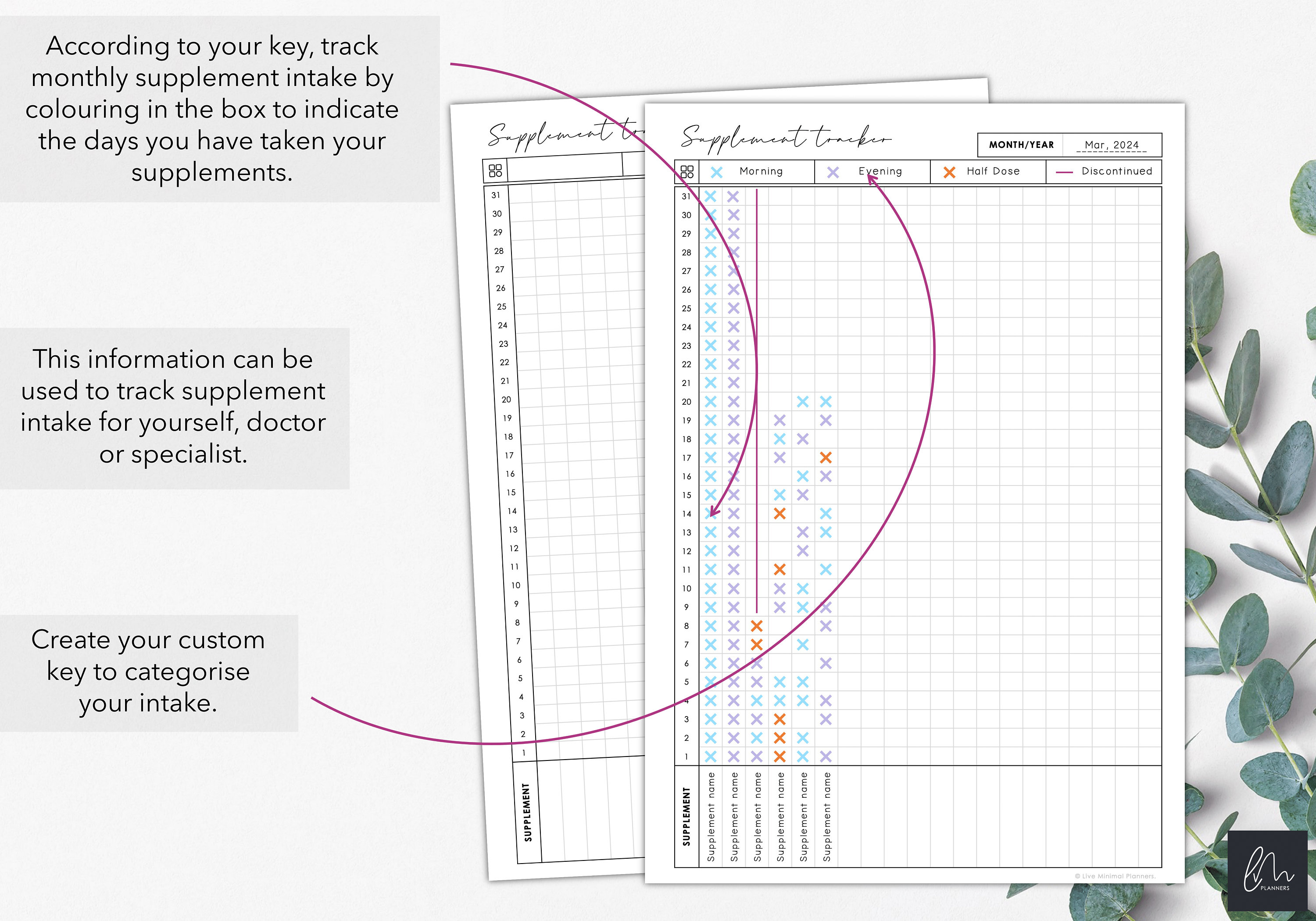 Printable Vertical Monthly Supplement Tracker to Chart Monthly ...