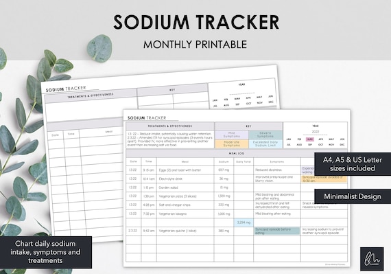 Sodium Intake Tracker Chart Daily Meals Amount of Sodium - Etsy