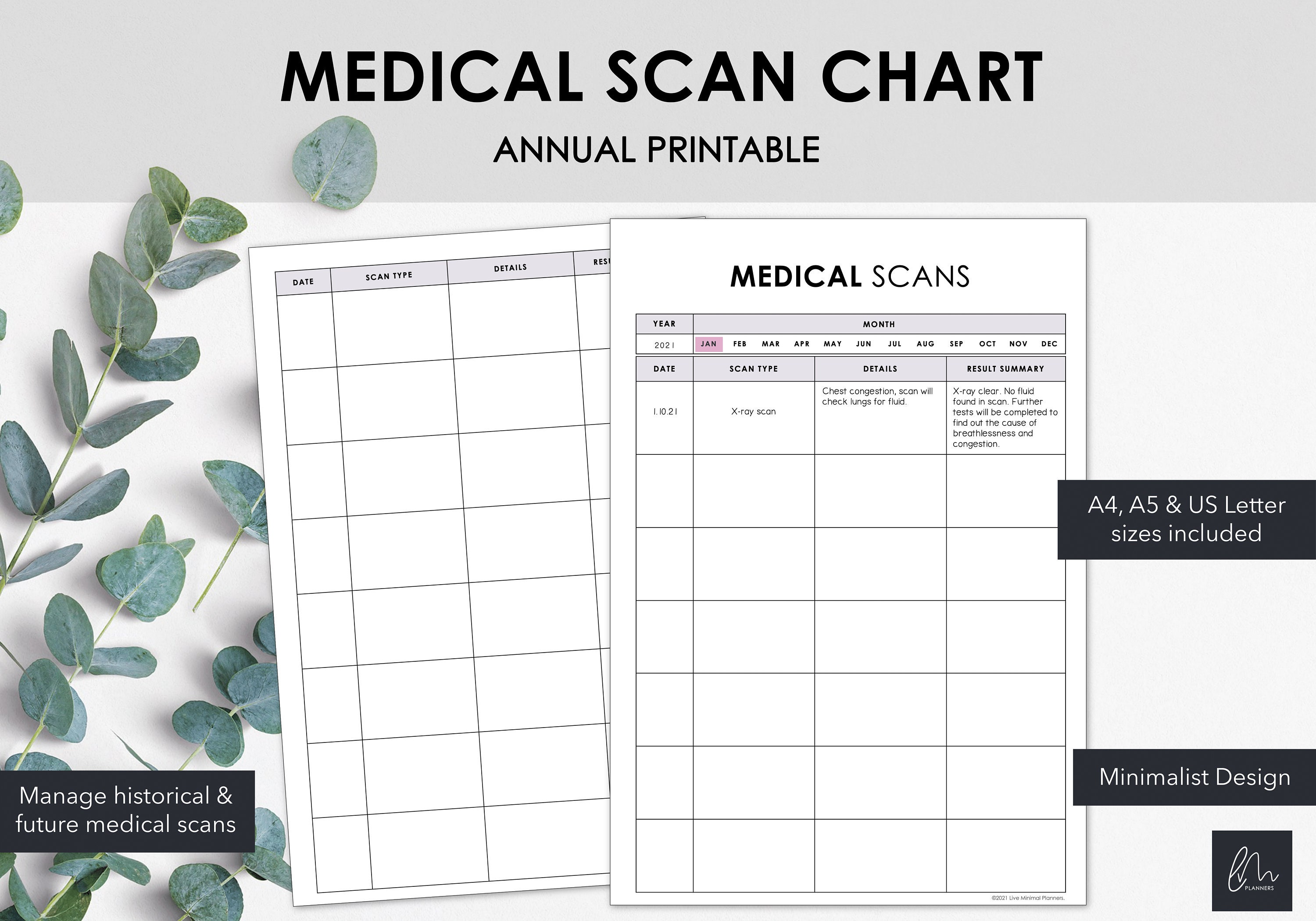 Medical Scan Chart Printable Historical & Future Medical - Etsy