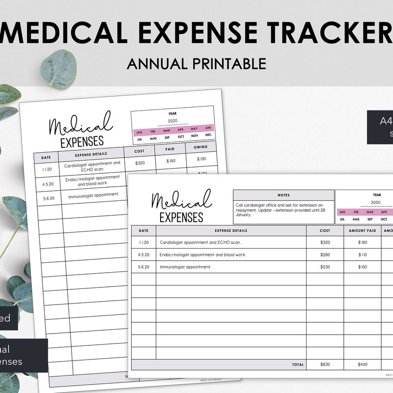 Medical Expense Tracking Spreadsheet - Etsy