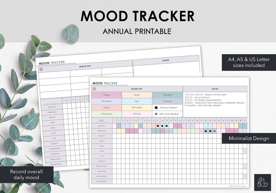 Printable Annual Mood Tracker | Track Daily Mood & Monitor Causes of ...