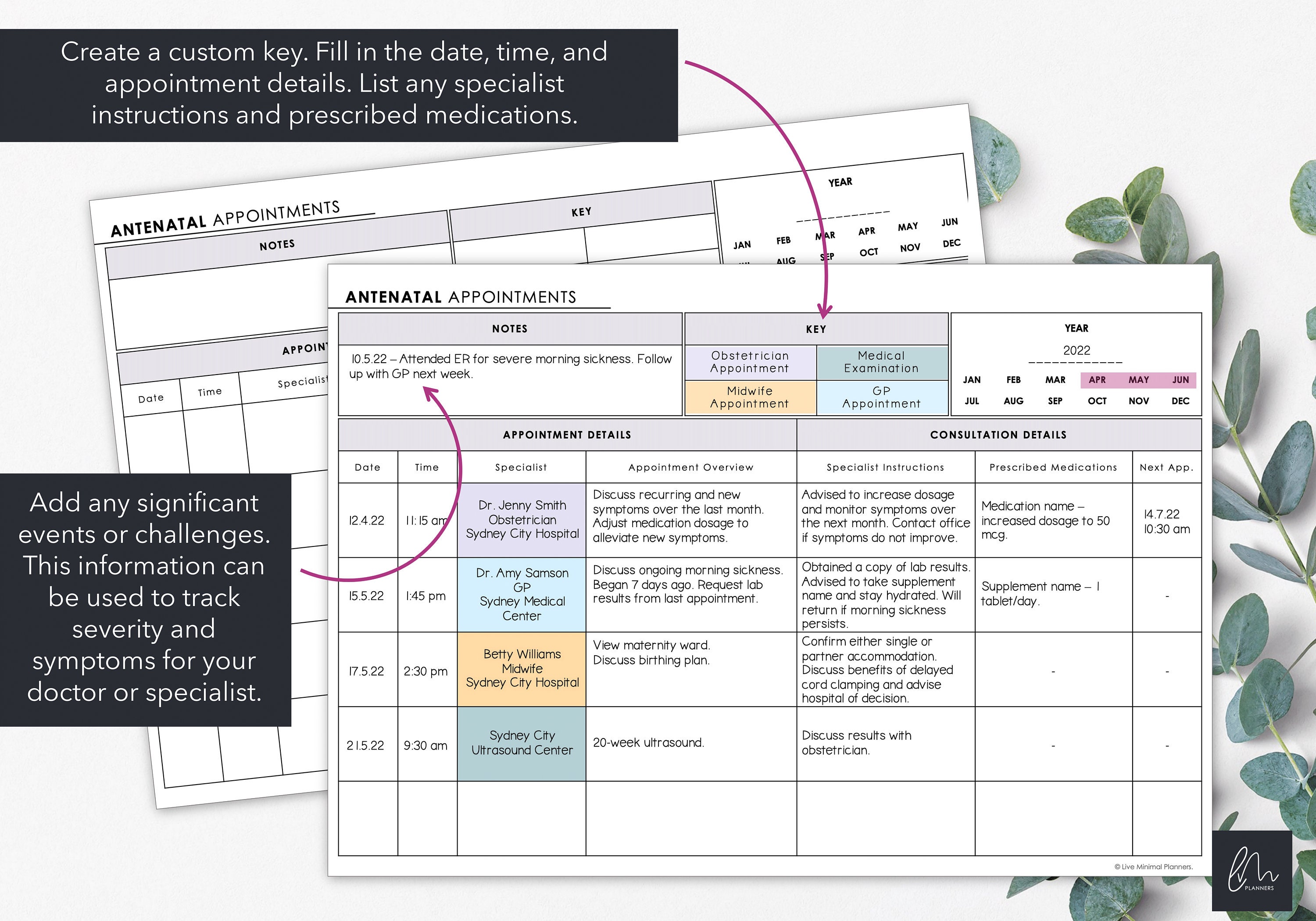 Antenatal Appointment Chart | List Pregnancy Antenatal Appointment ...