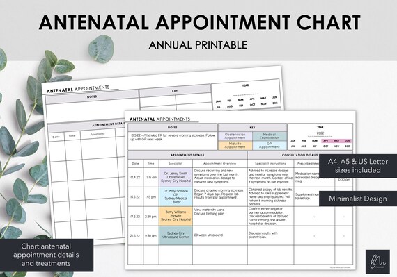 Antenatal Appointment Chart List Pregnancy Antenatal - Etsy