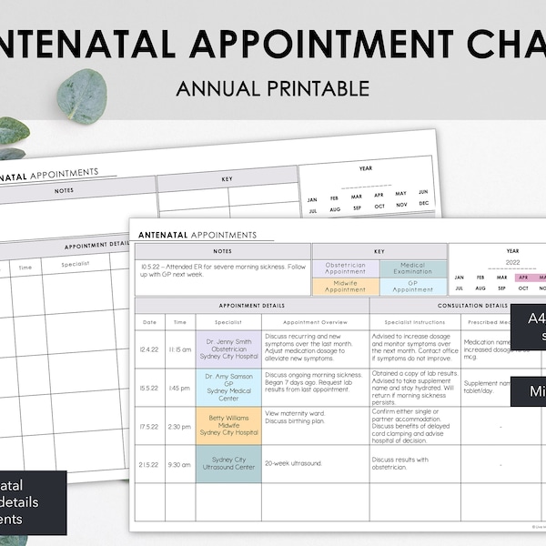Antenatal Appointment Chart - Etsy