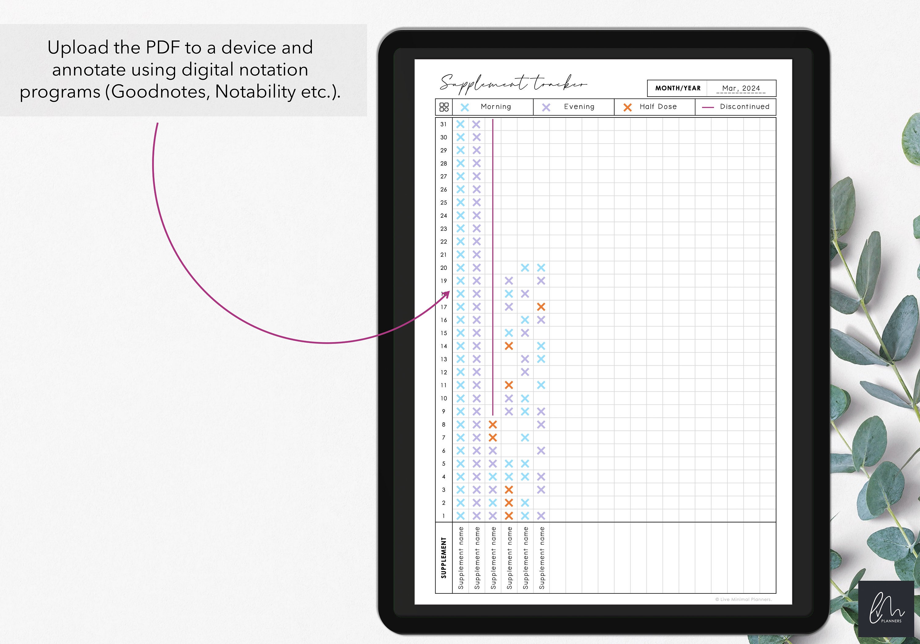 Printable Vertical Monthly Supplement Tracker to Chart Monthly ...