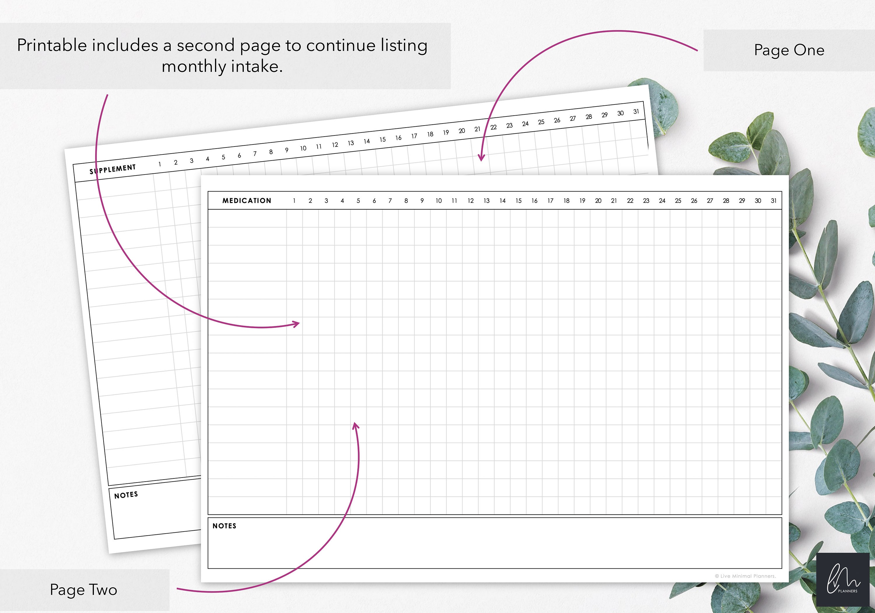 Printable and Fillable Intake Tracker Bundle | Track Monthly ...