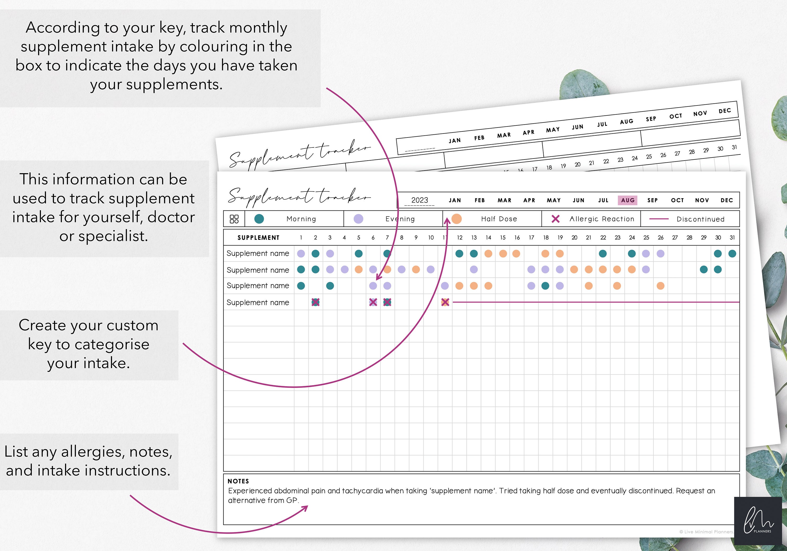 Printable and Fillable Monthly Supplement Tracker | Chart & Manage ...