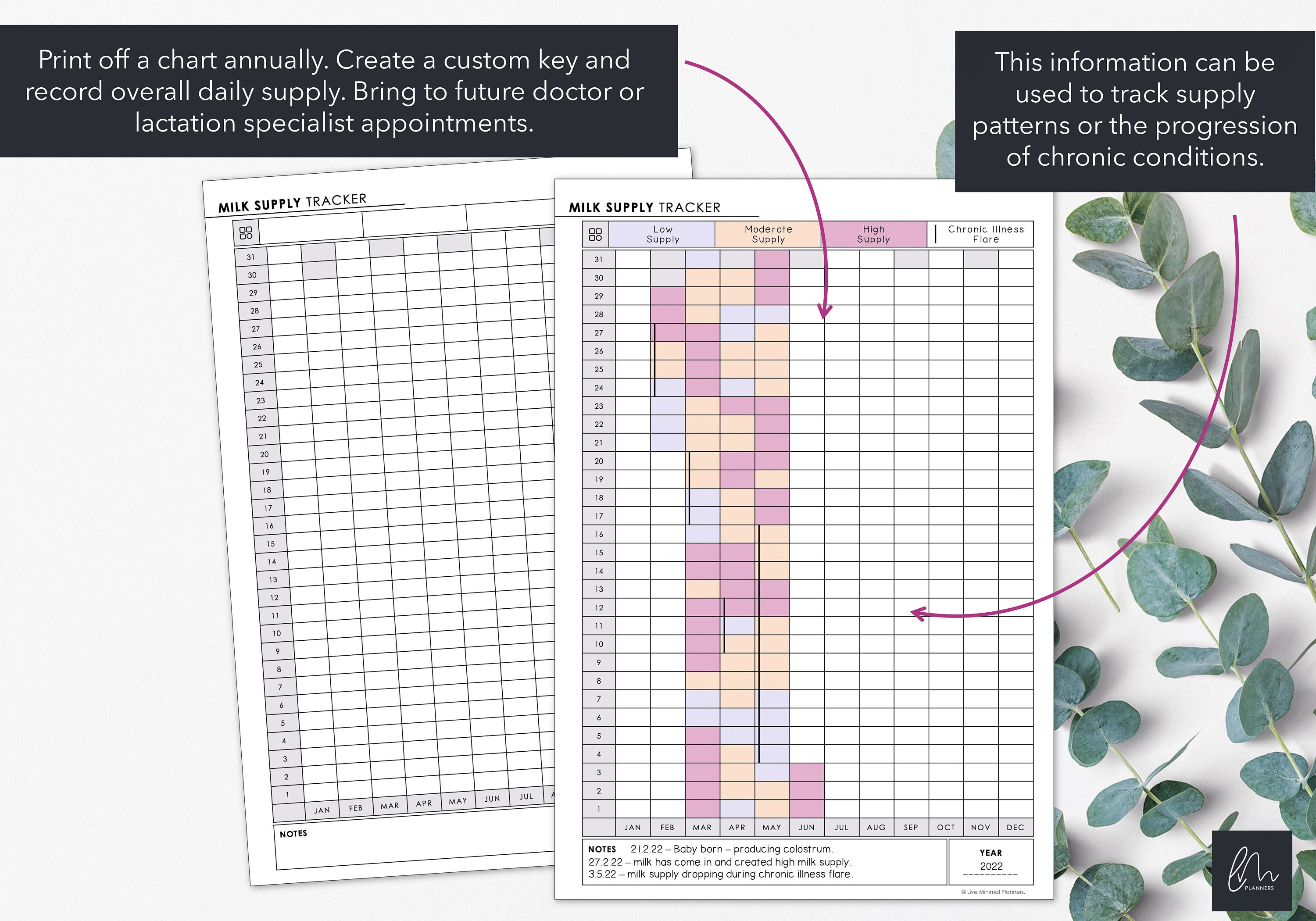 Annual Breast Milk Supply Tracker Printable | Track Yearly Milk Supply ...