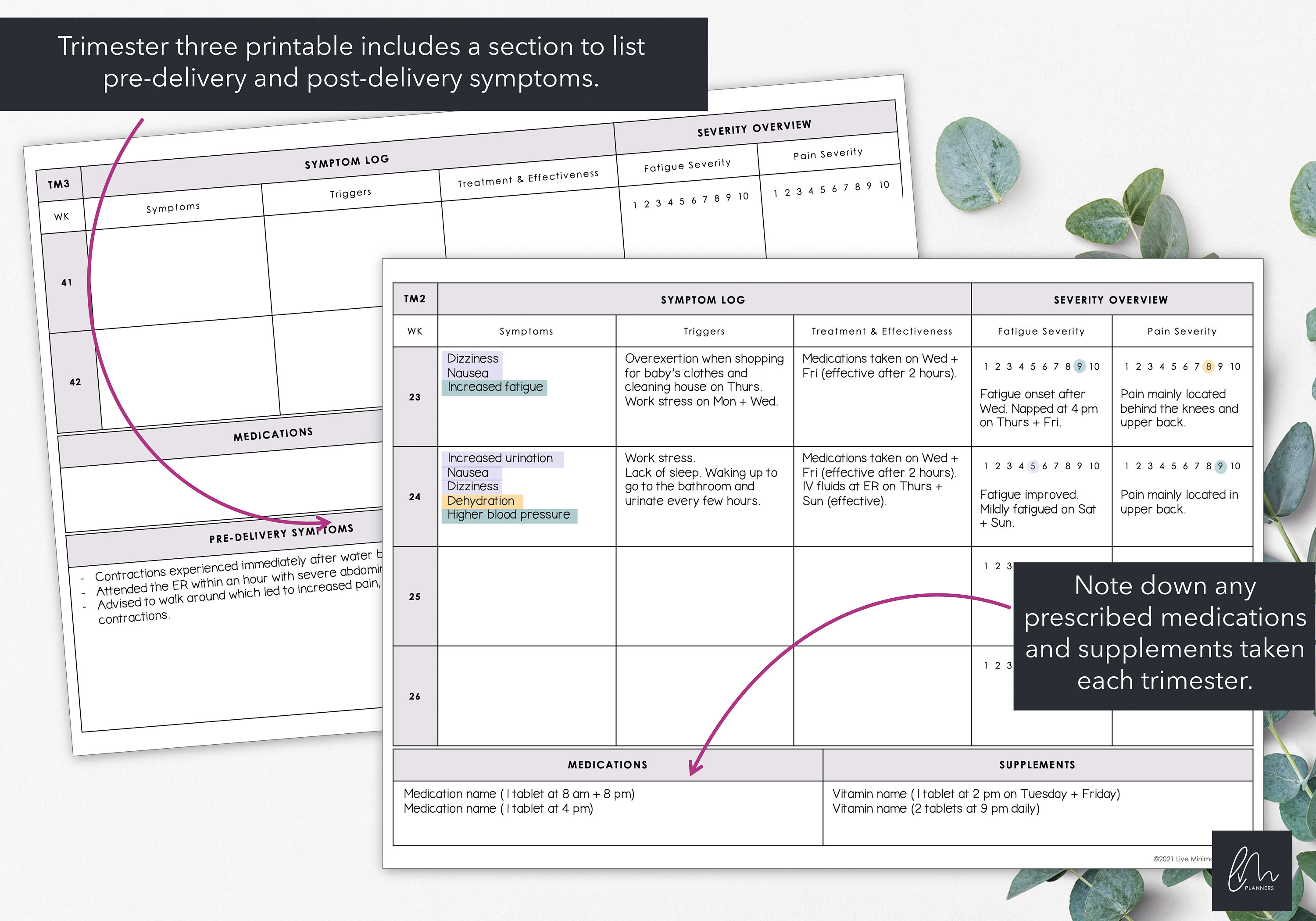 Pregnancy Symptom Log | Chart Weekly Symptoms & Severity Each Trimester ...