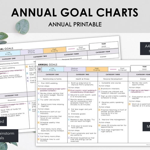 Printable Annual Goal Charts Manage Health Career Education - Etsy