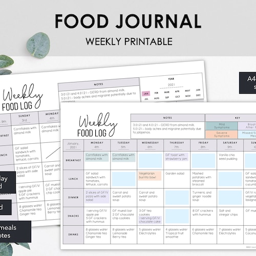 Myplate Food Tracker. Printable Visual With USDA Dietary - Etsy Israel