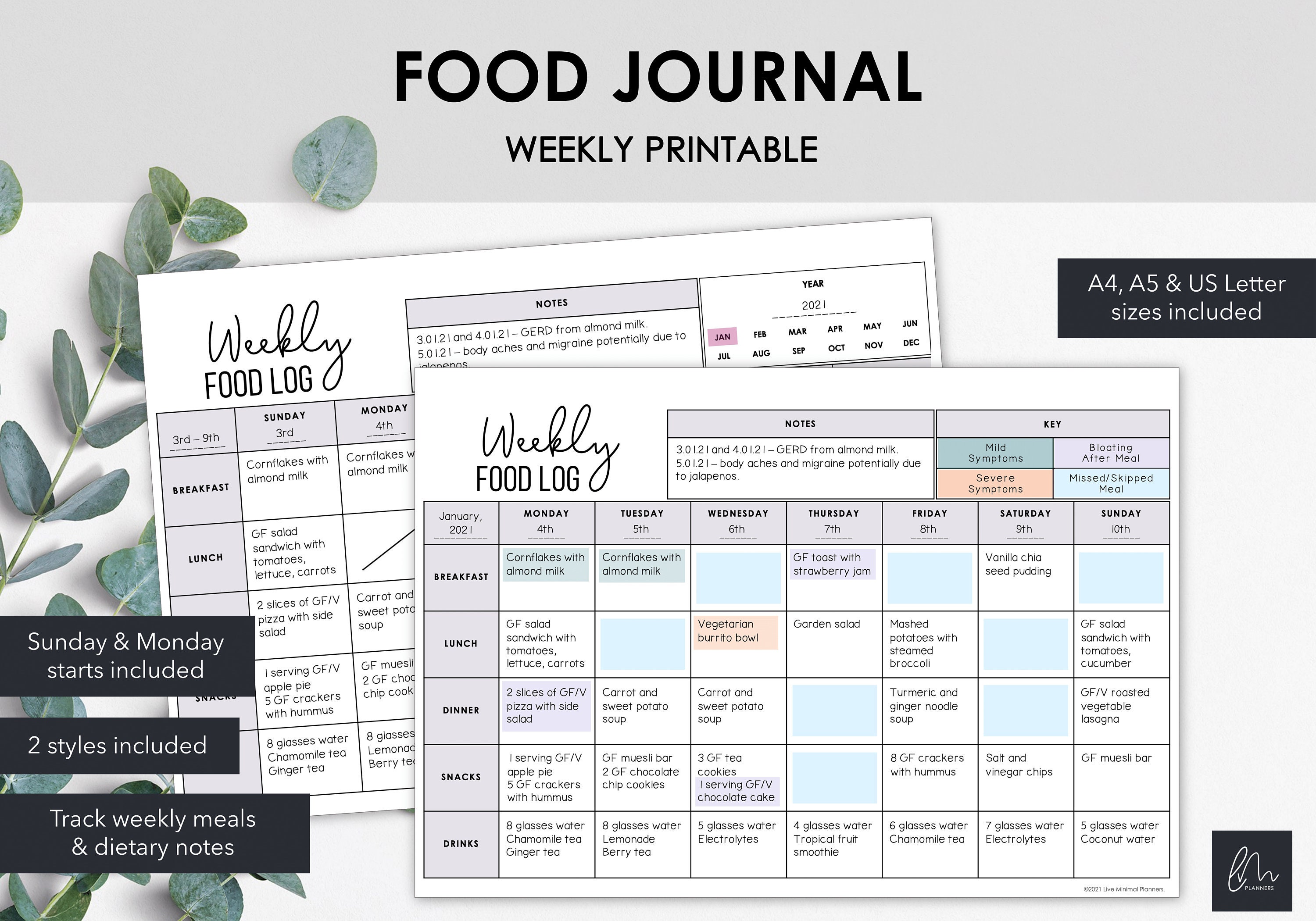 Weekly Food Log Dietary Journal to Chart Daily Meals & Notes - Etsy Canada