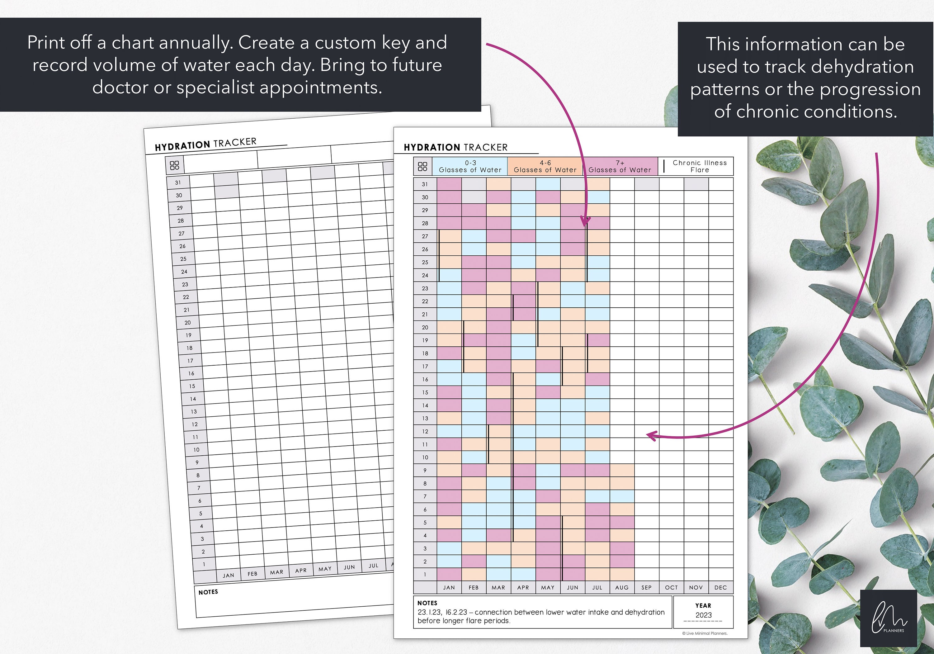 Annual Hydration Tracker Printable Track Yearly Chronic - Etsy