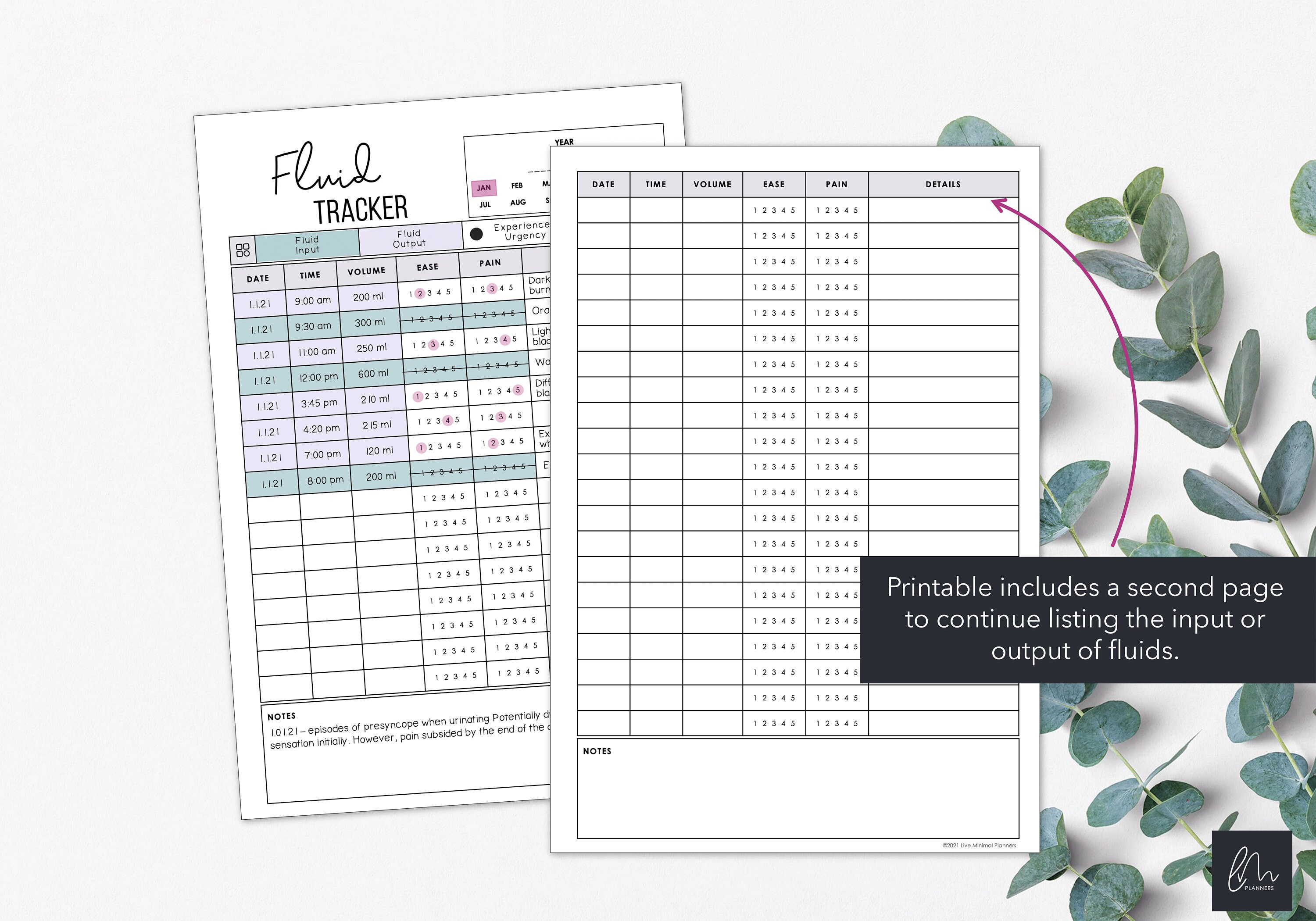 Fluid Input & Output Tracker Manage Weekly or Monthly Fluids | Etsy