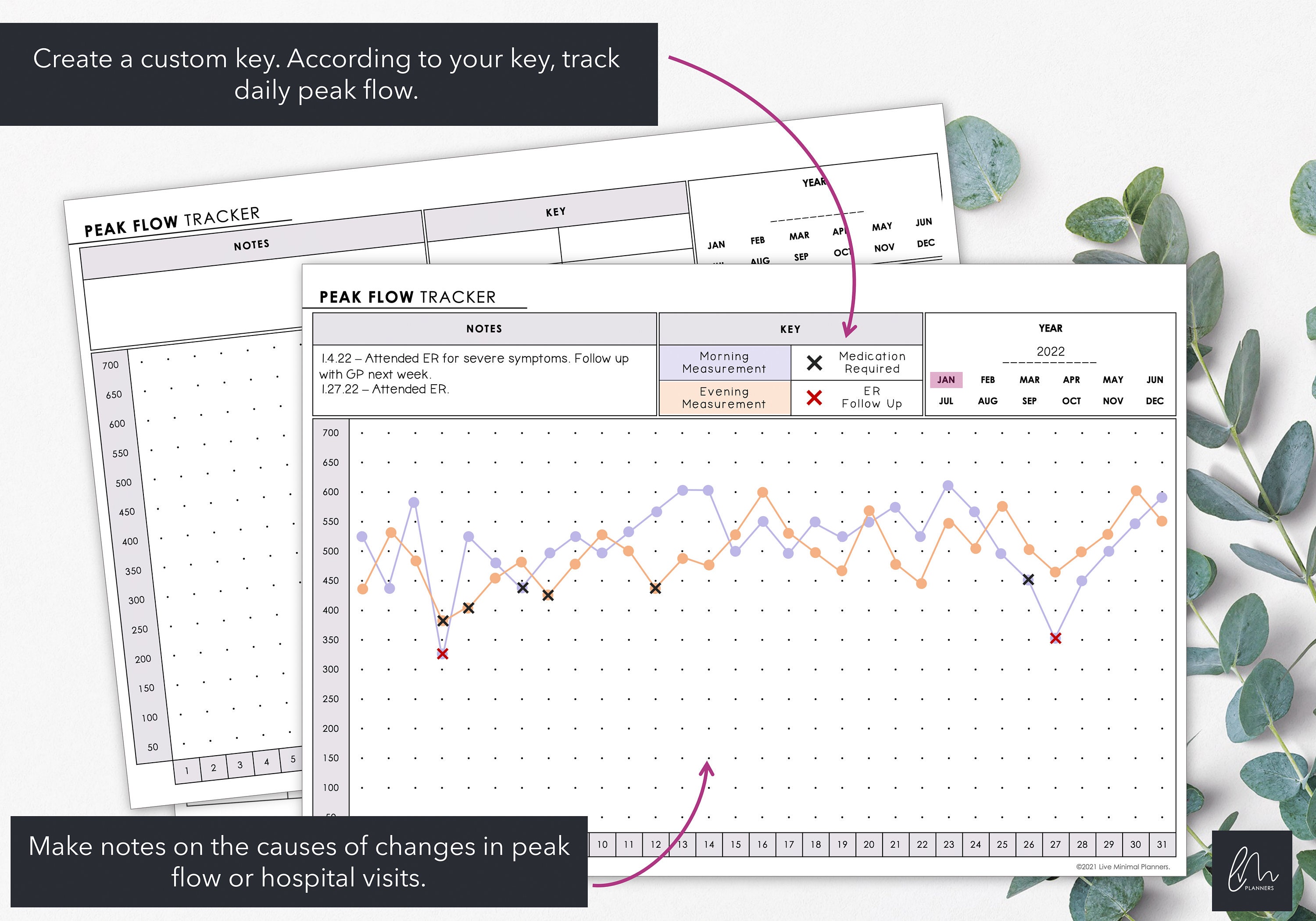 Peak Flow Tracker | Chart & Compare Daily Peak Flow | Log Monthly Peak ...