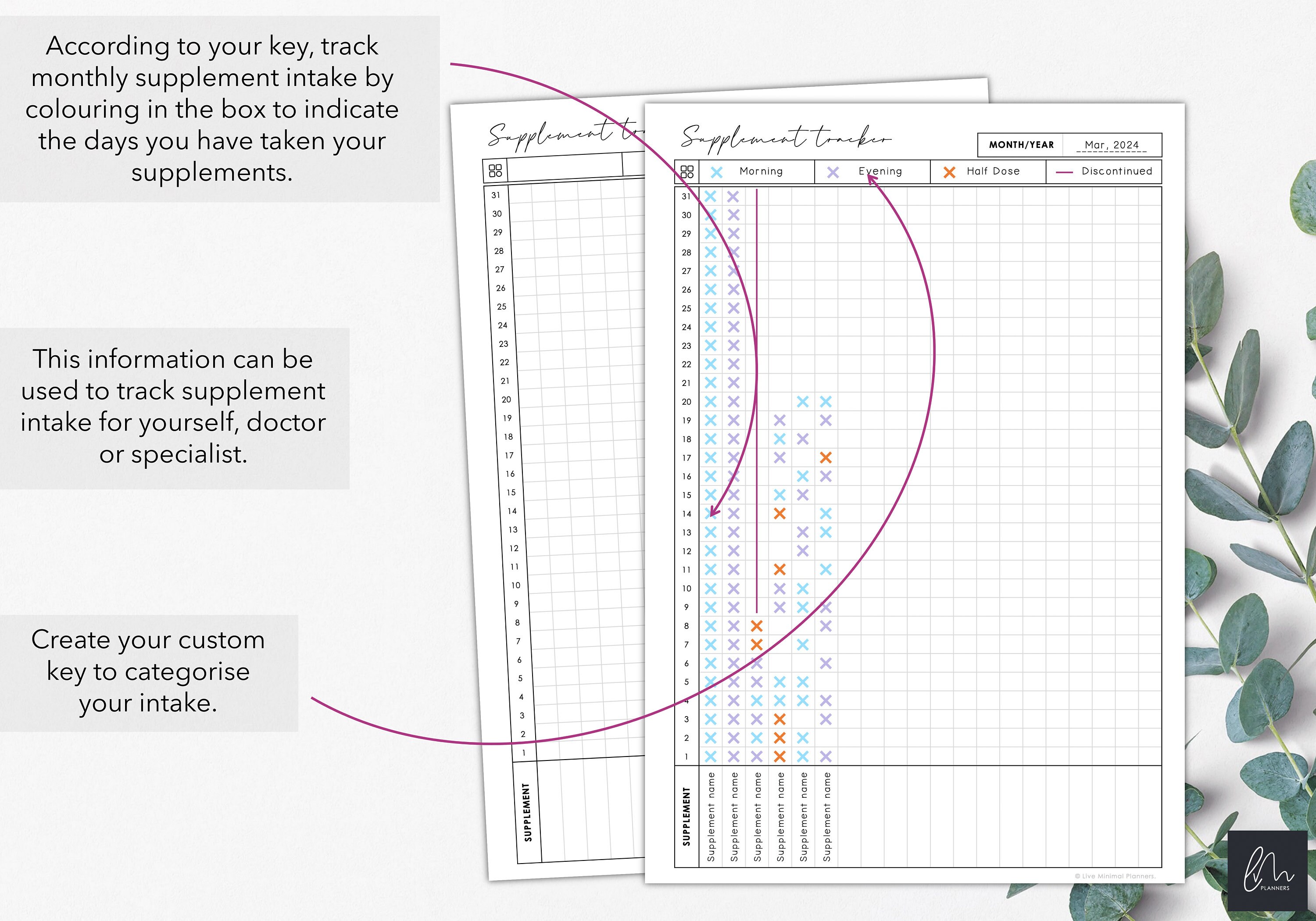 Printable Vertical Monthly Supplement Tracker to Chart Monthly ...