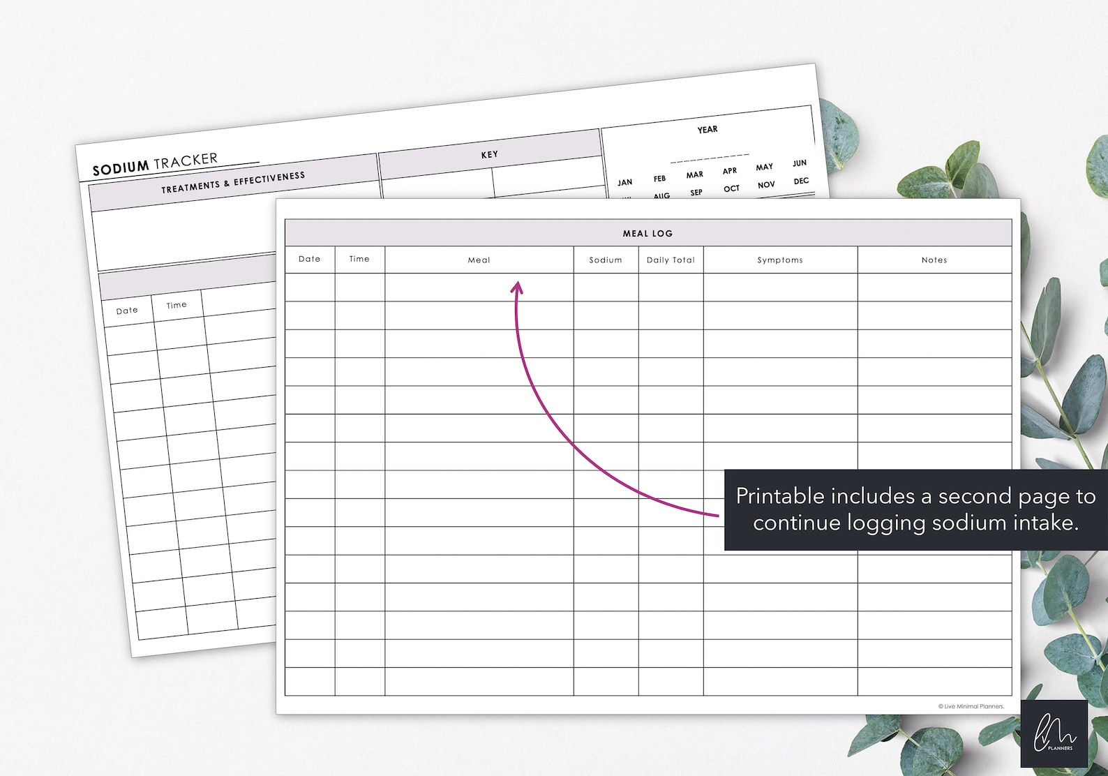 Sodium Intake Tracker | Chart Daily Meals Amount of Sodium Symptoms ...