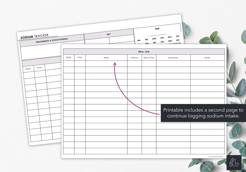 Sodium Intake Tracker | Chart Daily Meals Amount of Sodium Symptoms ...