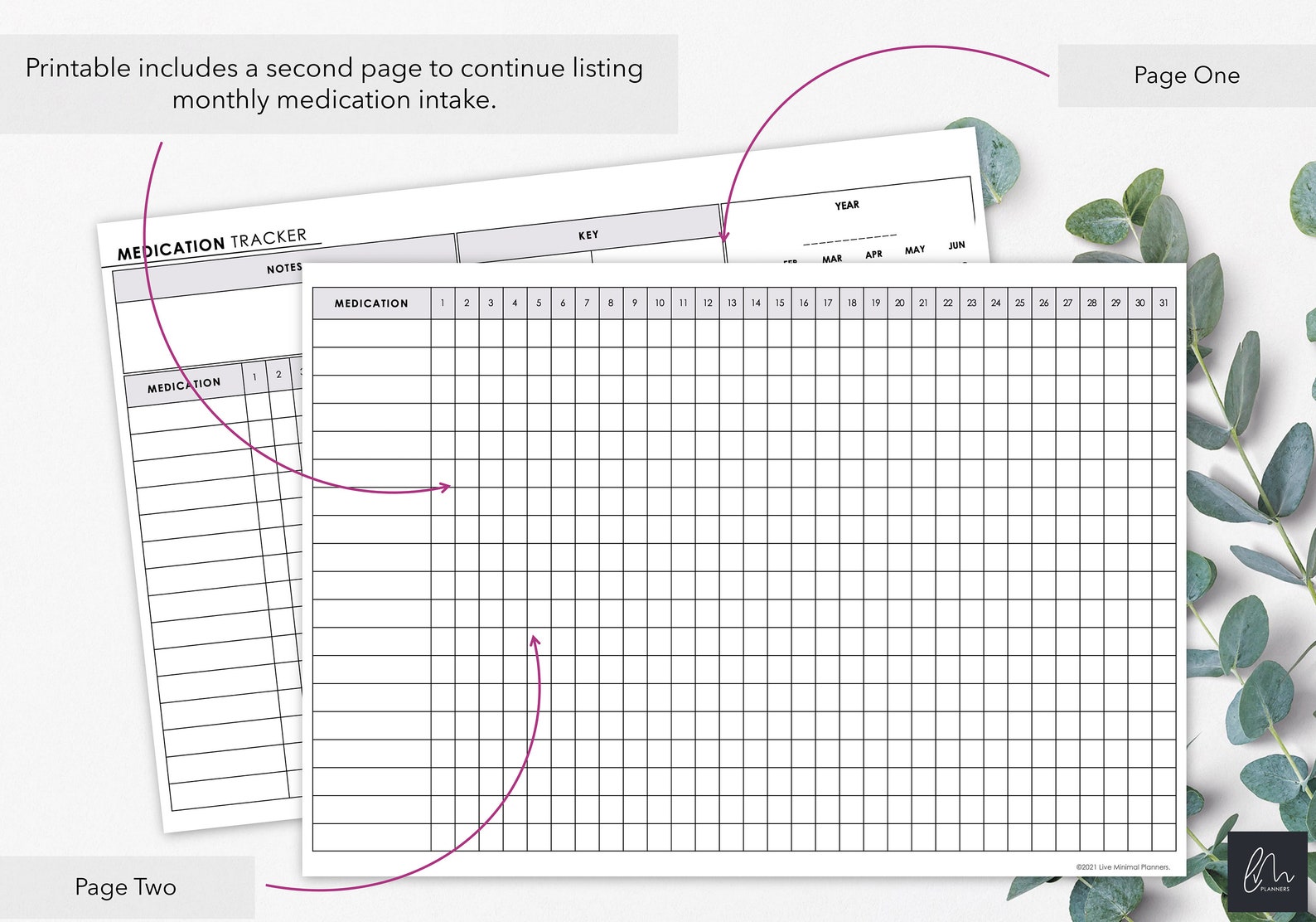 Printable and Fillable Medication Tracker to Chart Monthly Medication ...