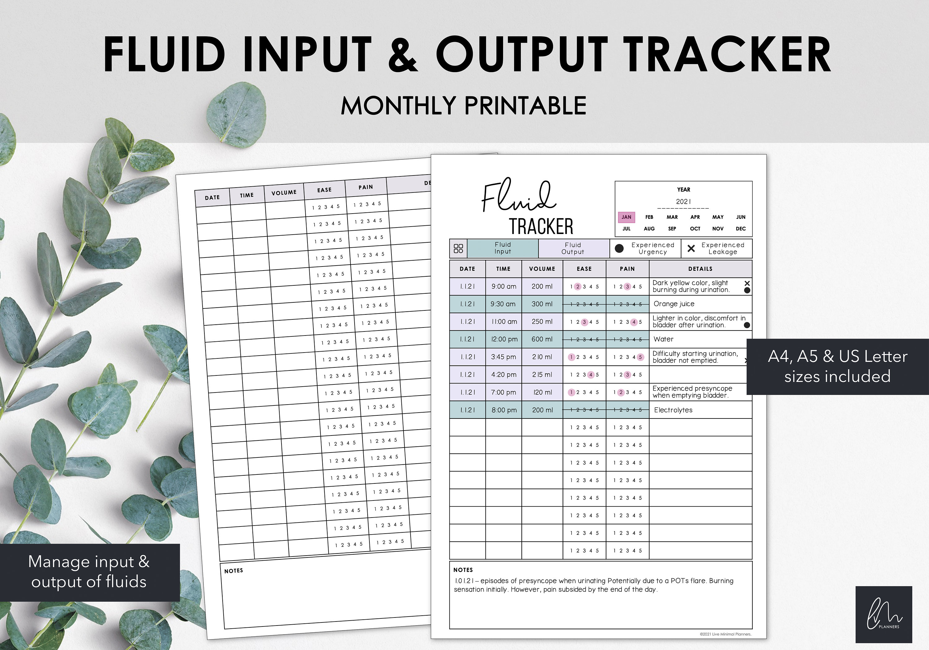 Fluid Input & Output Tracker Manage Weekly or Monthly Fluids - Etsy España