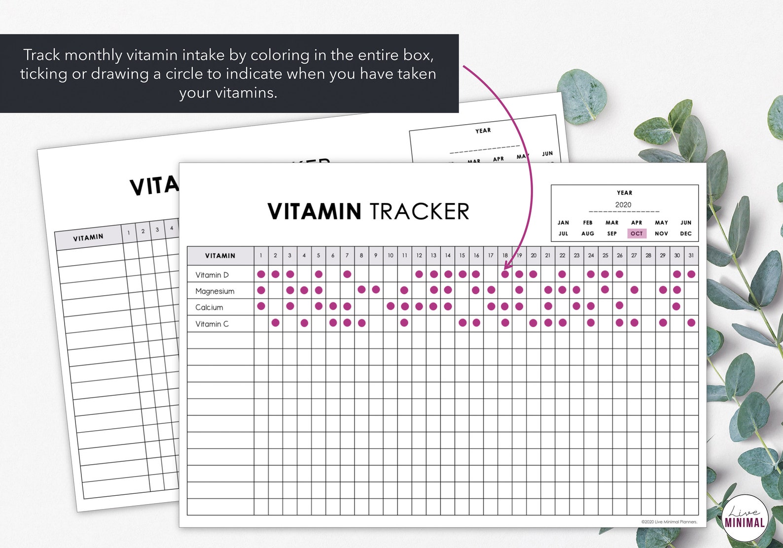 Printable Monthly Vitamin Tracker Track Monthly Vitamin | Etsy
