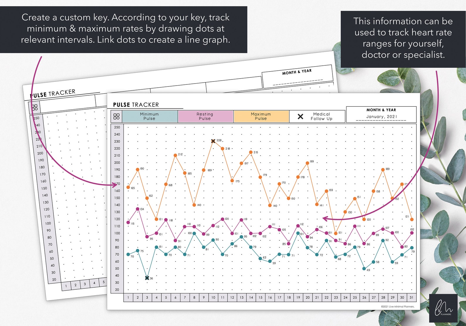 Pulse Range Tracker Chart & Compare Daily Minimum Maximum - Etsy