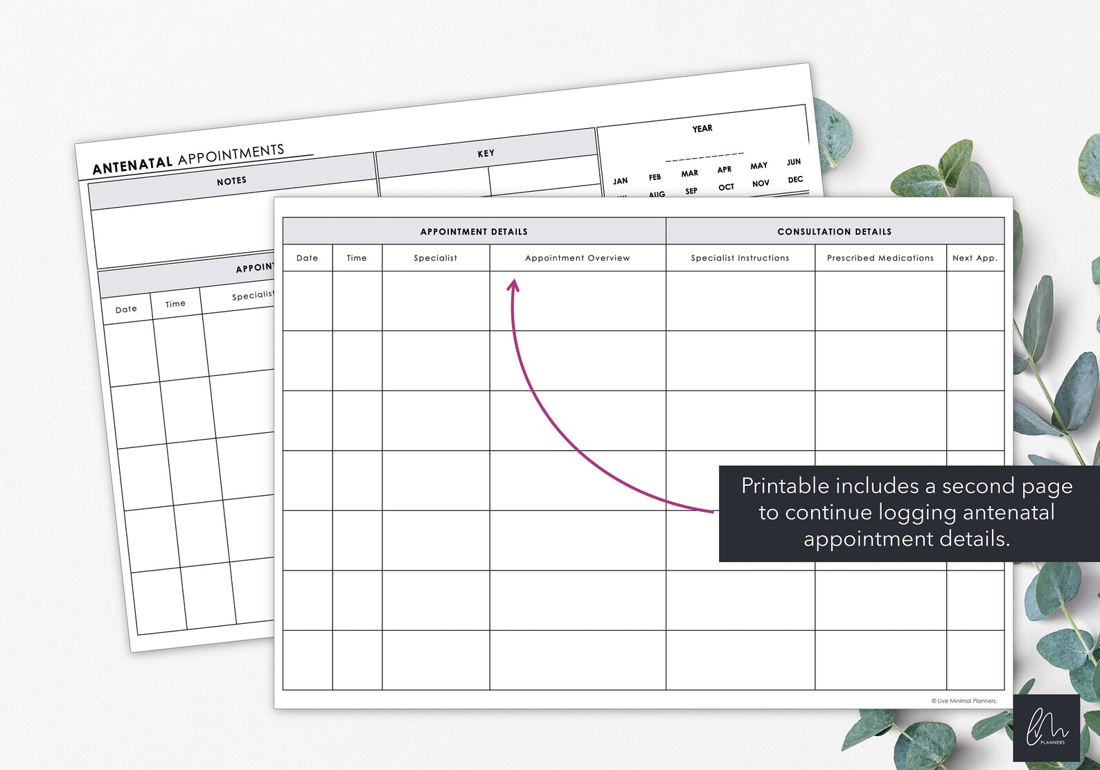 Antenatal Appointment Chart | List Pregnancy Antenatal Appointment ...