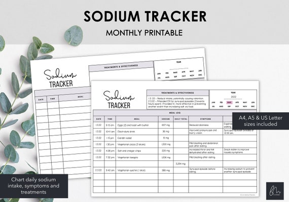 Sodium Intake Log Track Daily Meals Amount of Sodium | Etsy