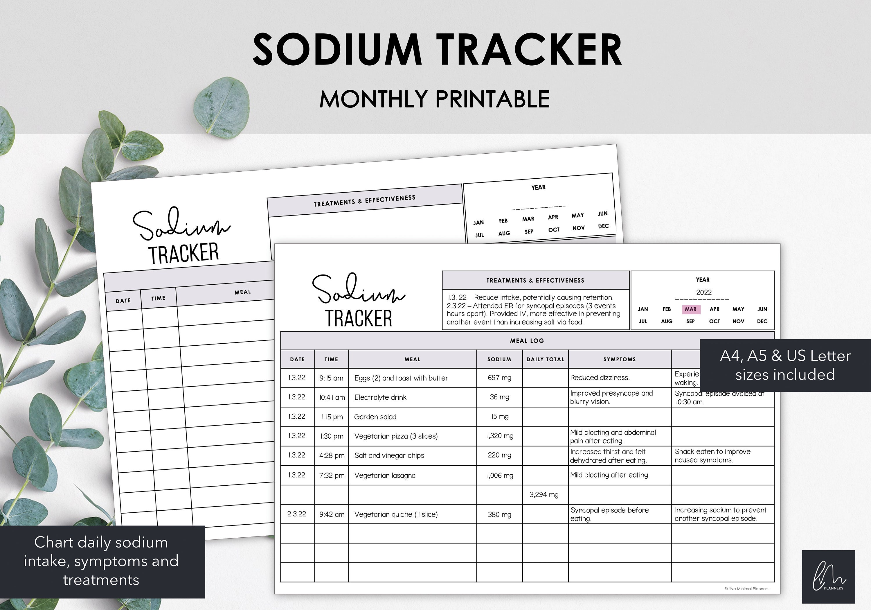 Sodium Intake Log | Track Daily Meals Amount of Sodium Symptoms ...