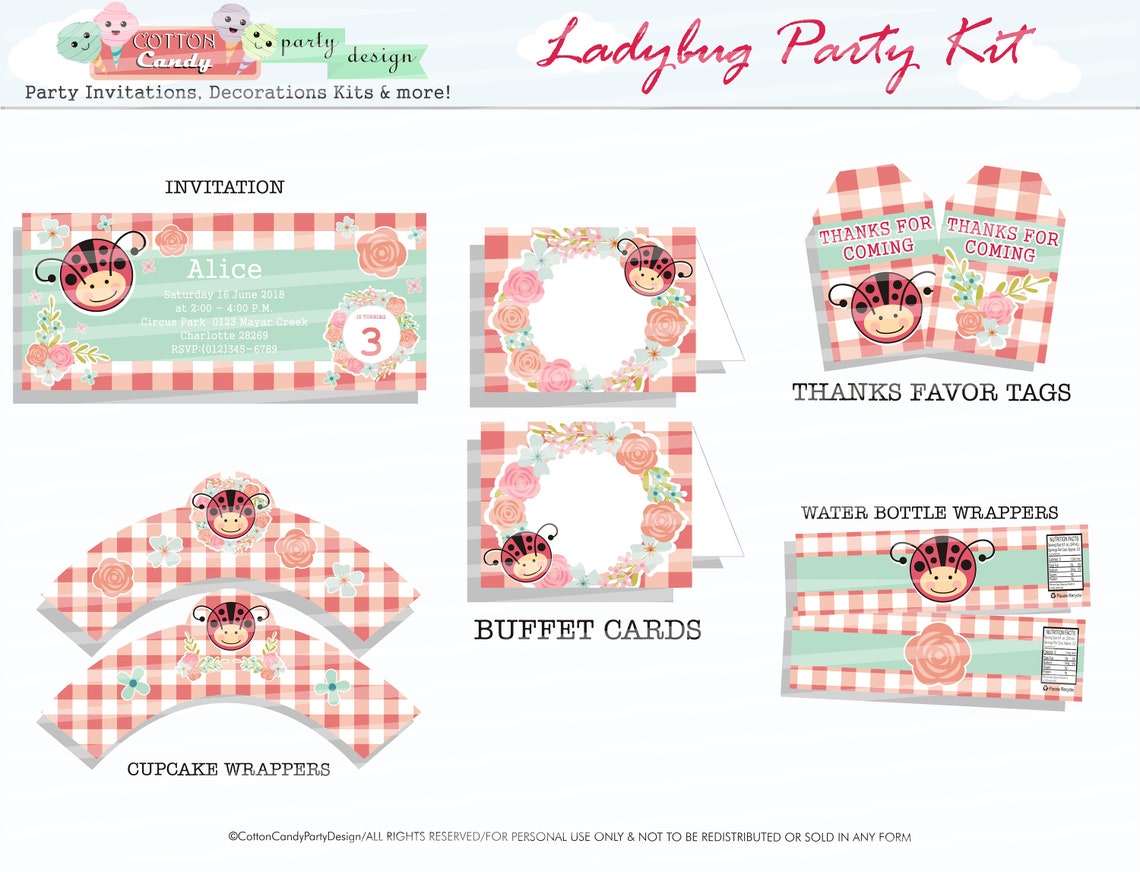 Ladybug Birthday Party, Ladybug Party Decorations, Ladybug Party ...