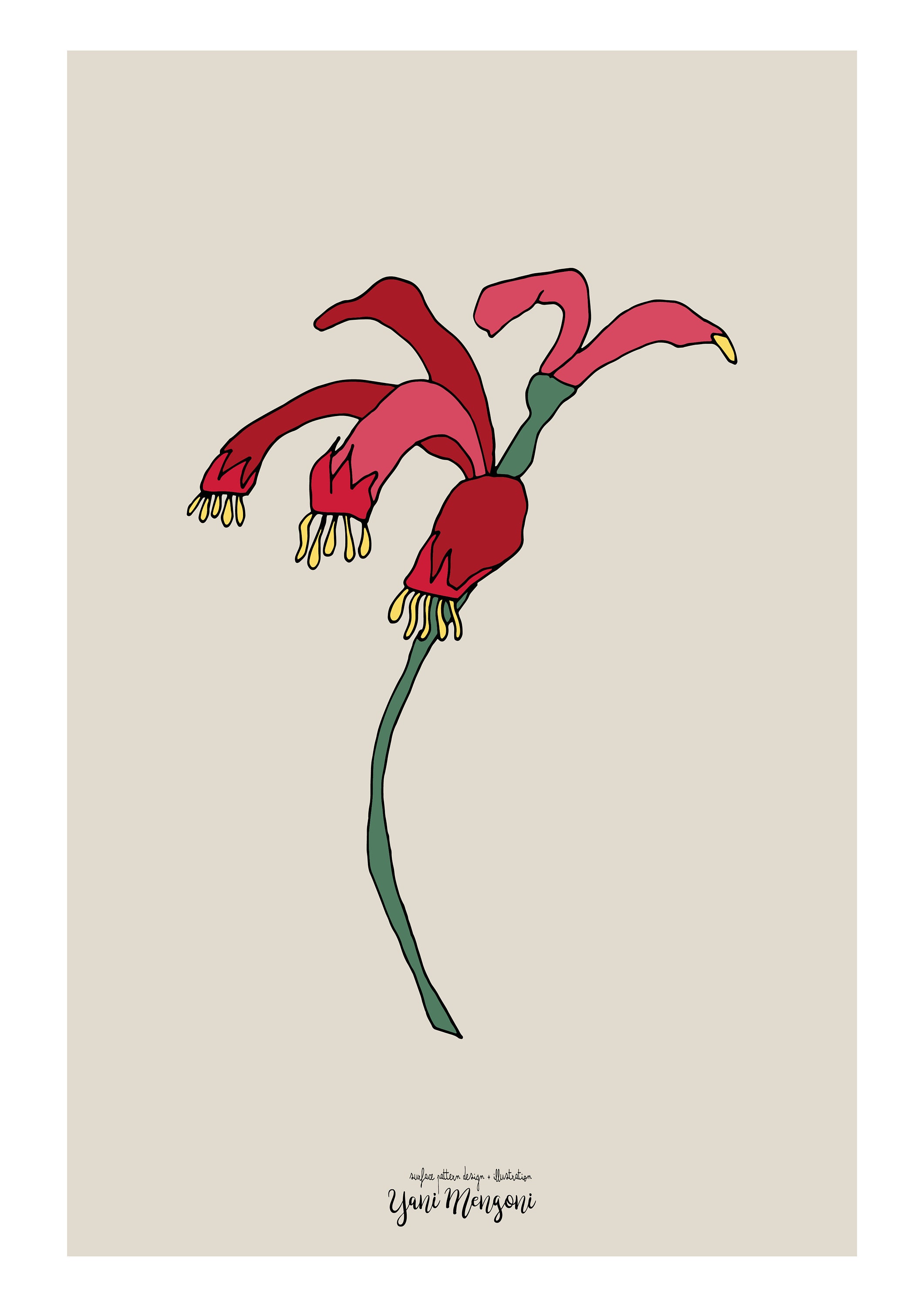 Australian Native Flowers Collection Print Digital Download Print ...