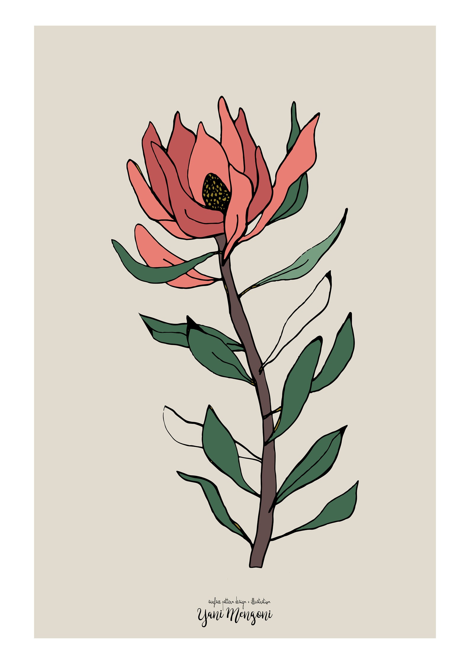 Australian Native Flowers Collection Print Digital Download Print ...