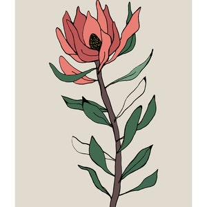 Australian Native Flowers Collection Print Digital Download Print ...