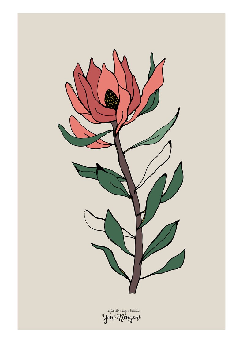 Australian Native Flowers Collection Print Digital Download Print ...