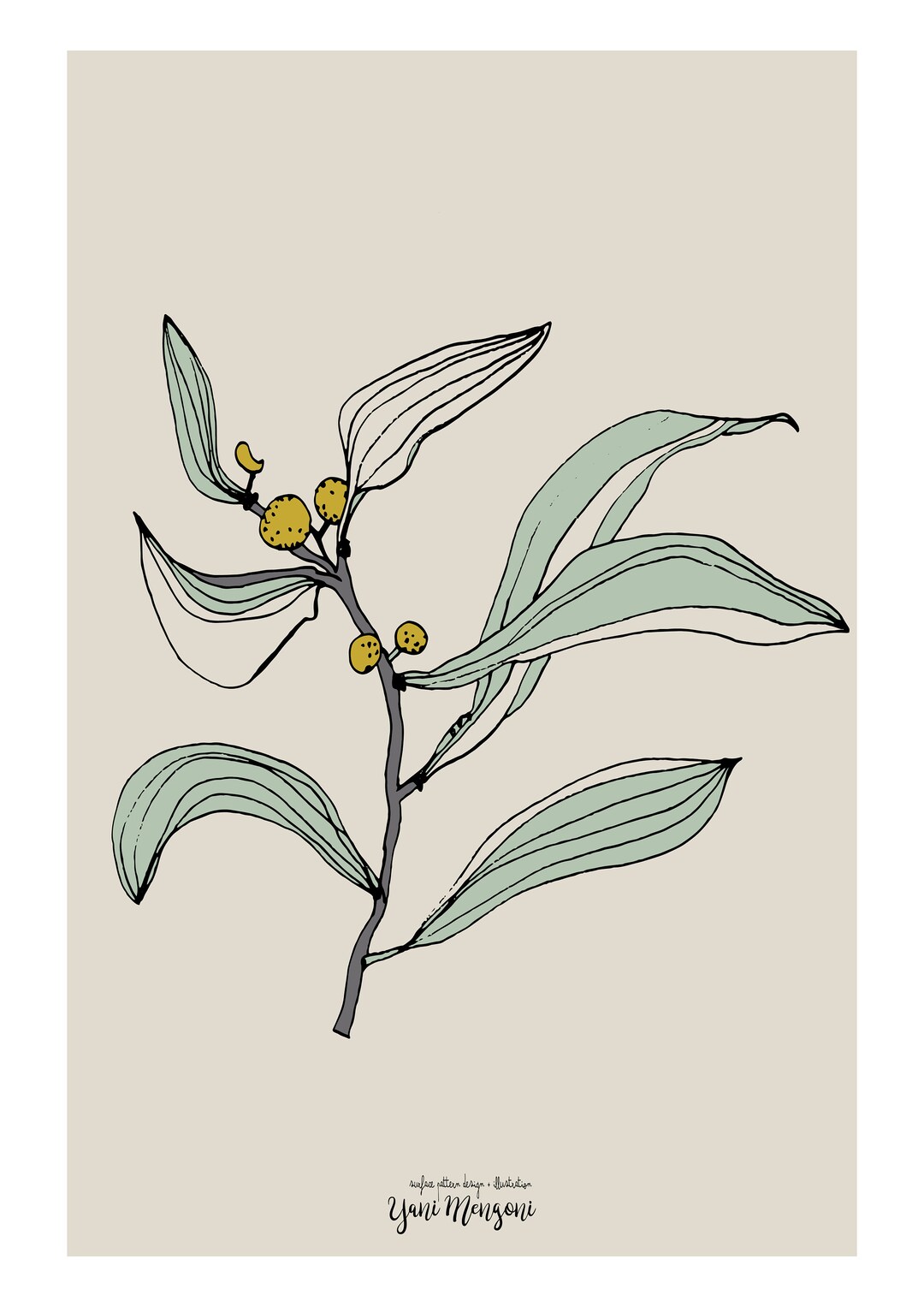 Australian Native Flowers Collection Print Digital Download Print ...